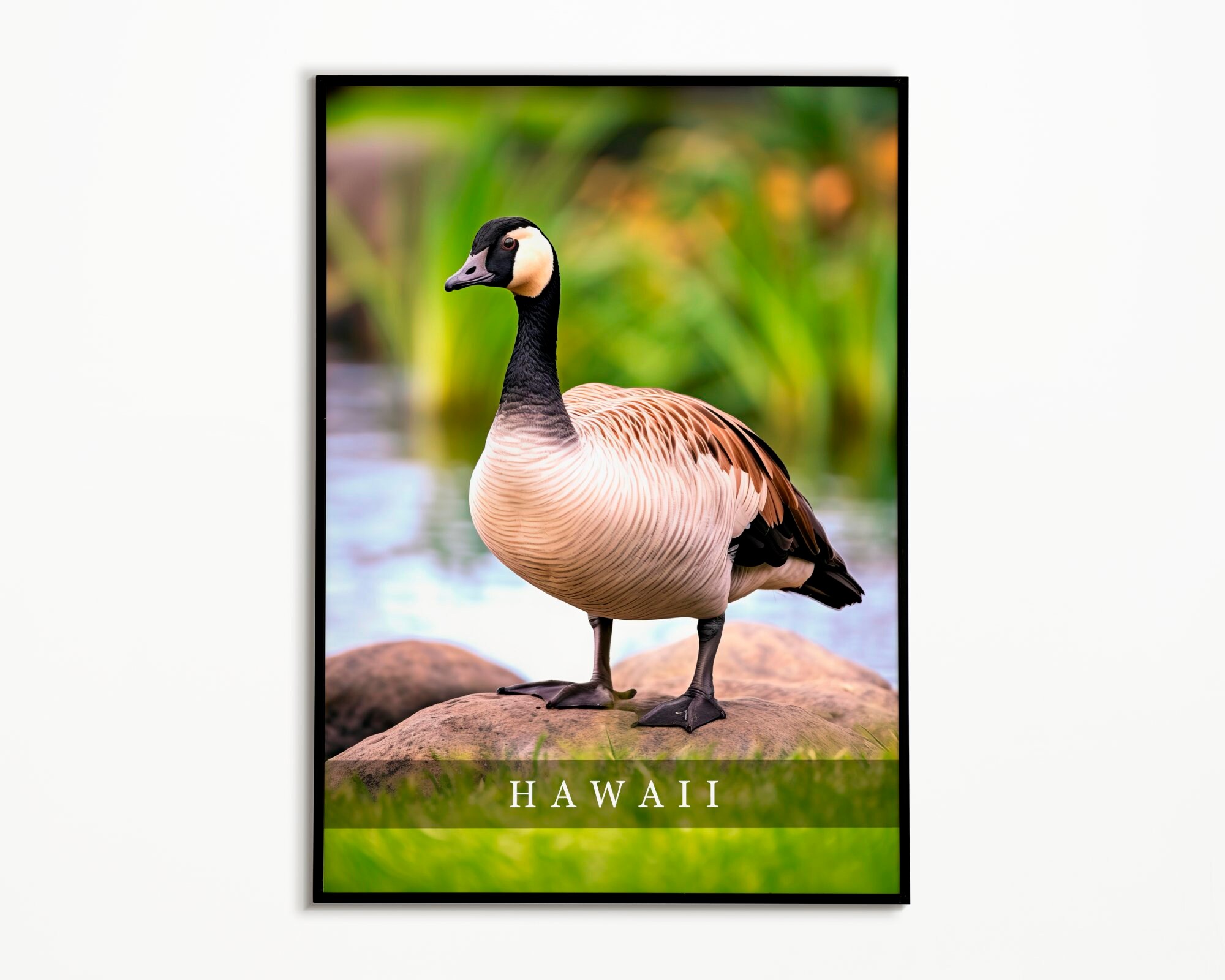 Hawaii State Bird Nene hawaiian Goose Photo Art Print - Etsy