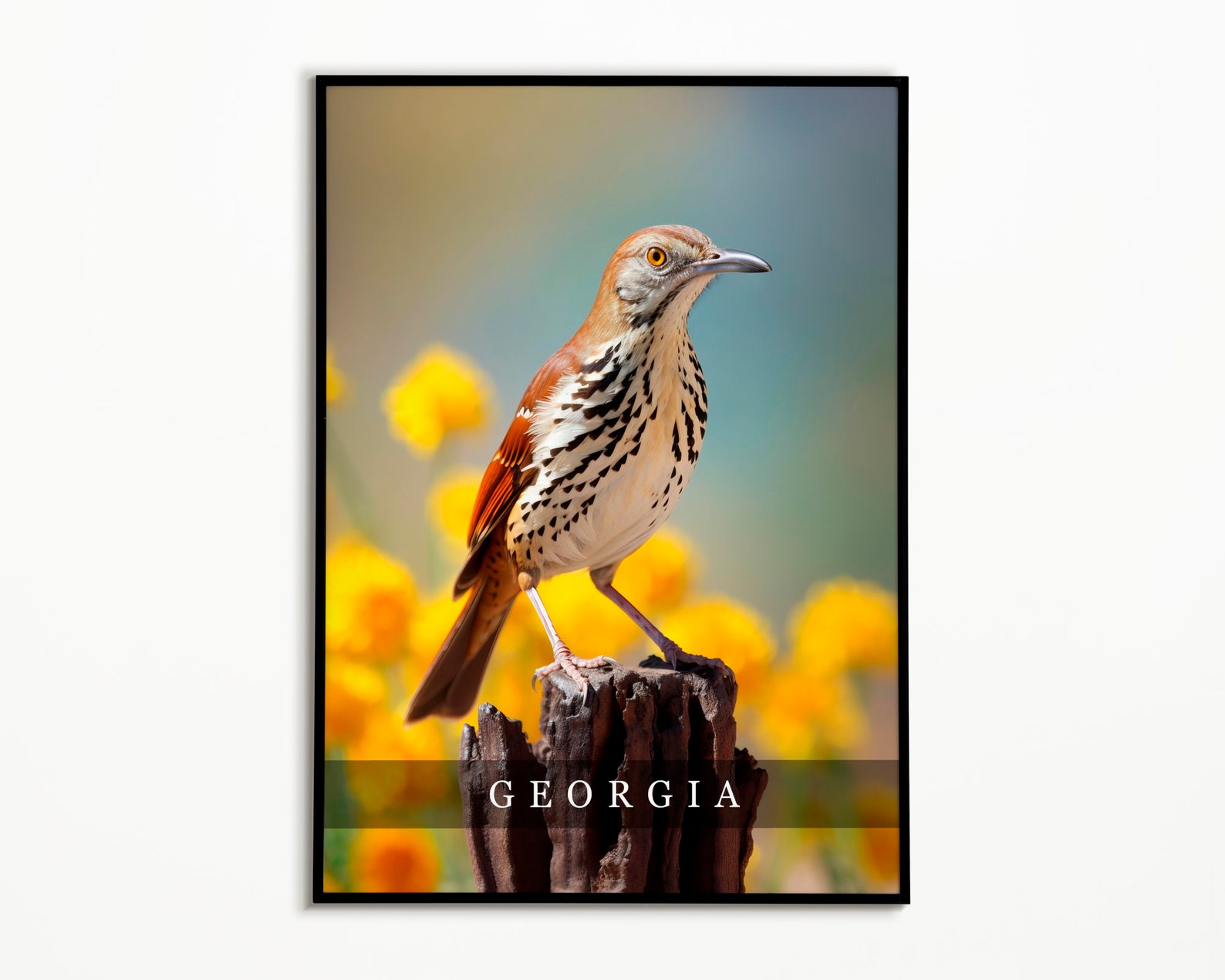 Georgia State Bird Brown Thrasher Photo Art Print State - Etsy