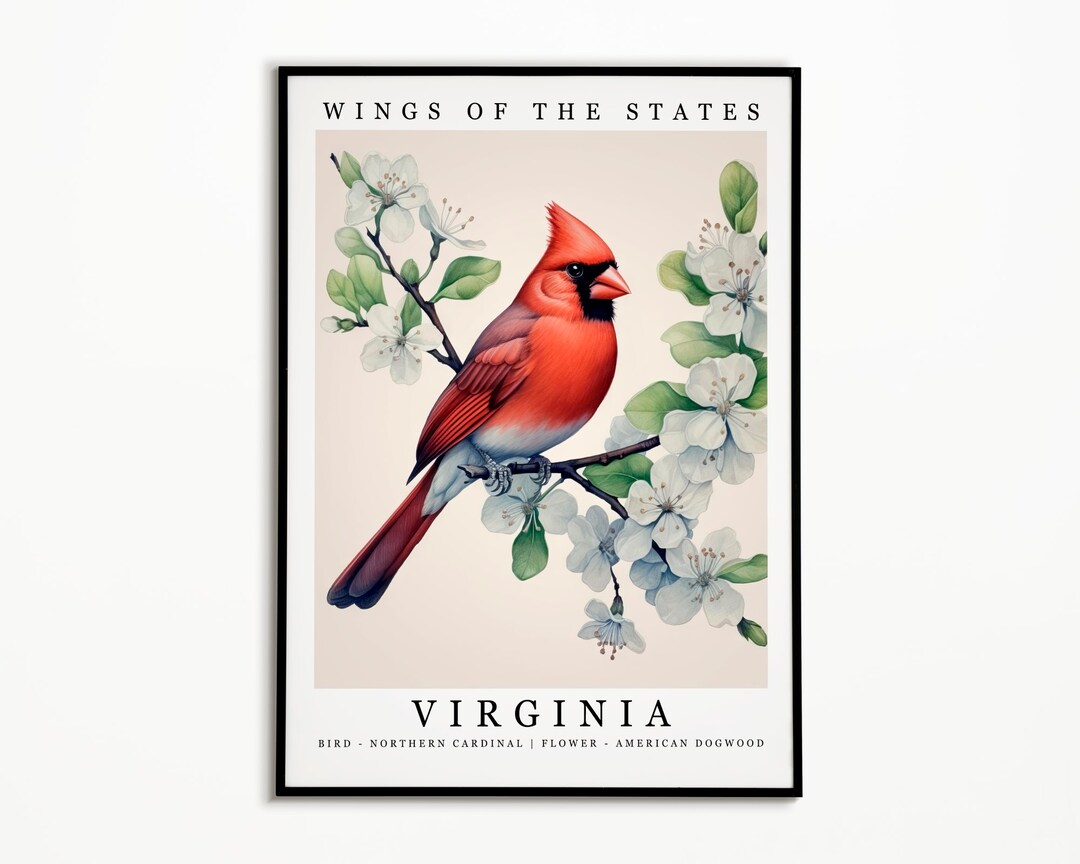 Virginia State Bird Northern Cardinal and State Flower American Dogwood ...