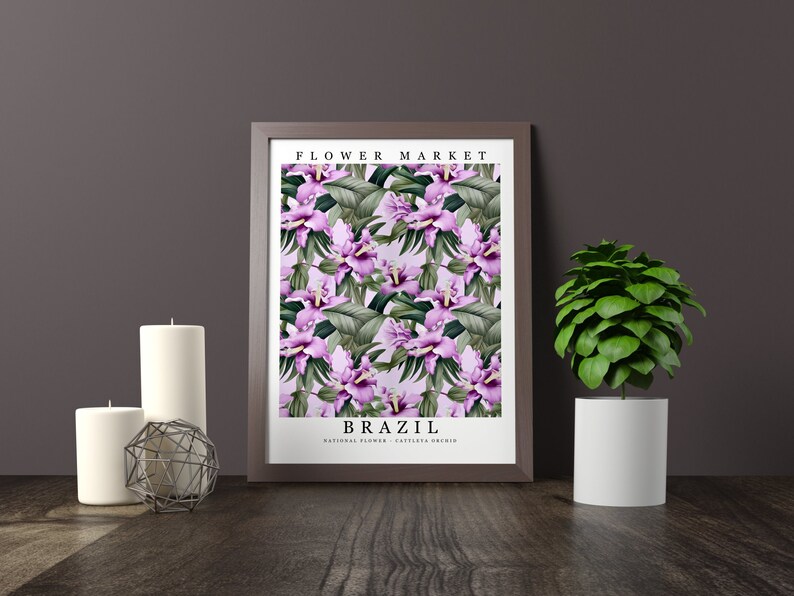 Brazil National Flower Cattleya Orchid Wall Art Print Flower - Etsy