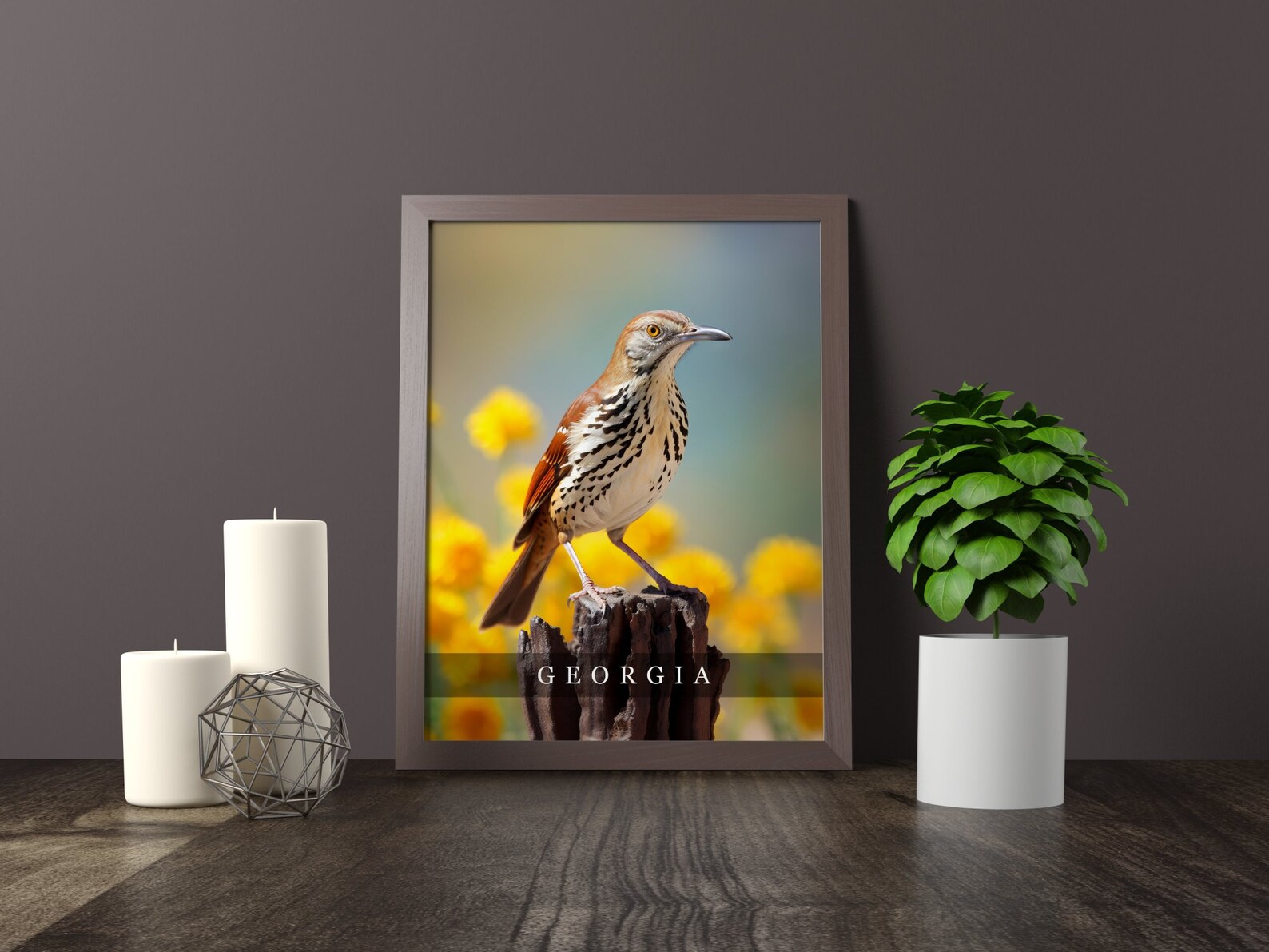 Georgia State Bird Brown Thrasher Photo Art Print State - Etsy