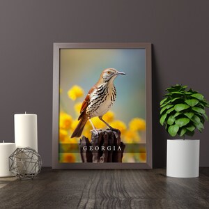 Georgia State Bird Brown Thrasher Photo Art Print State - Etsy
