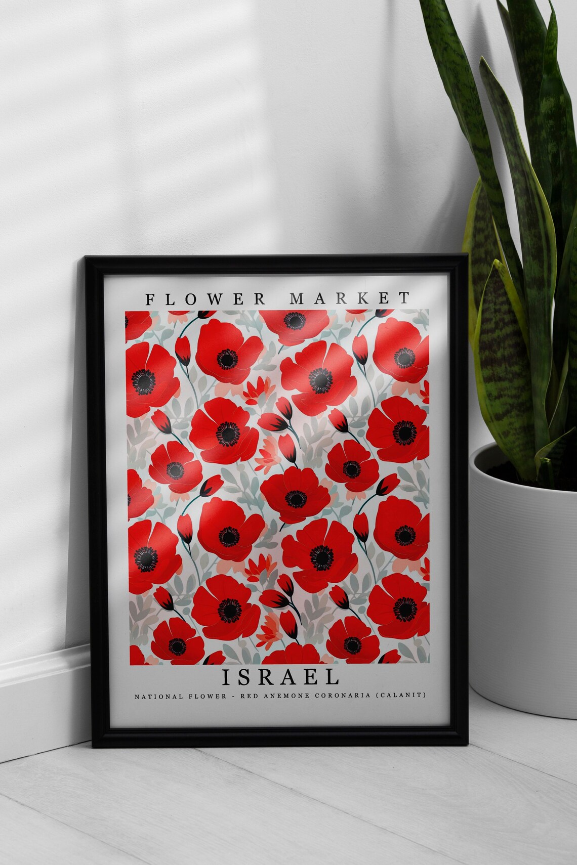 Israel National Flower - Red Anemone Coronaria Wall Art Print Flower ...