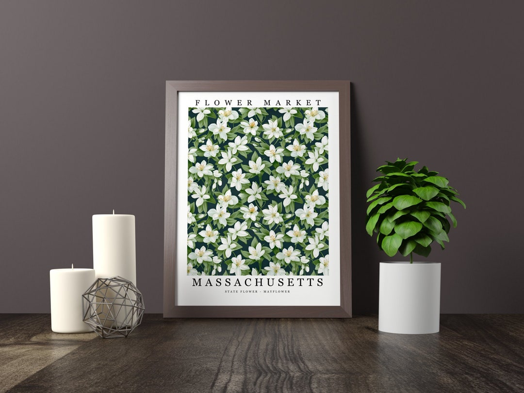 Massachusetts State Flower - Mayflower Wall Art Print Flower Market ...