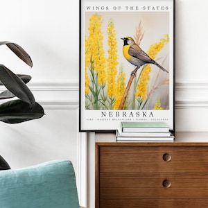 Nebraska State Bird - Western Meadowlark and State Flower - Goldenrod ...