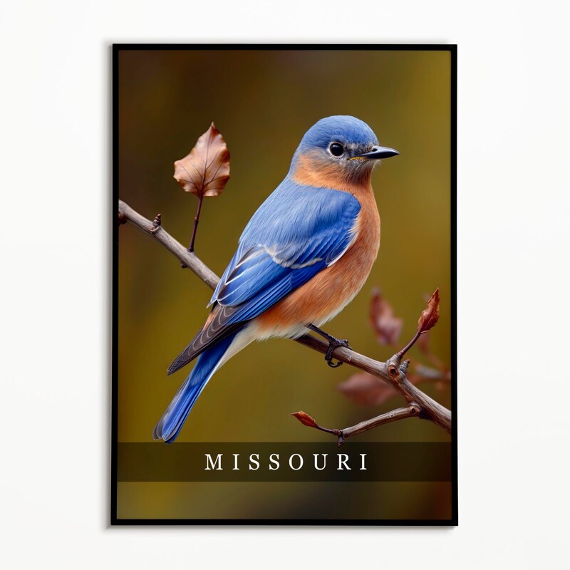 Missouri State Bird - Etsy