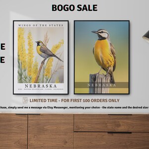 Nebraska State Bird - Western Meadowlark and State Flower - Goldenrod ...
