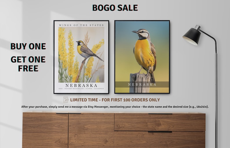 Nebraska State Bird - Western Meadowlark and State Flower - Goldenrod ...