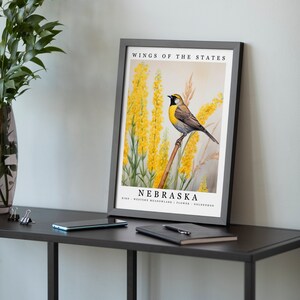 Nebraska State Bird - Western Meadowlark and State Flower - Goldenrod ...
