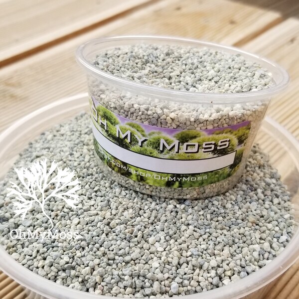 Wall Terrarium - Etsy UK