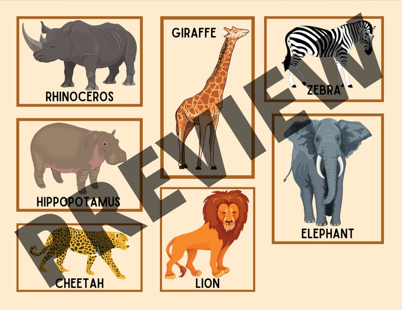 Safari Animals Activity Pages - Etsy