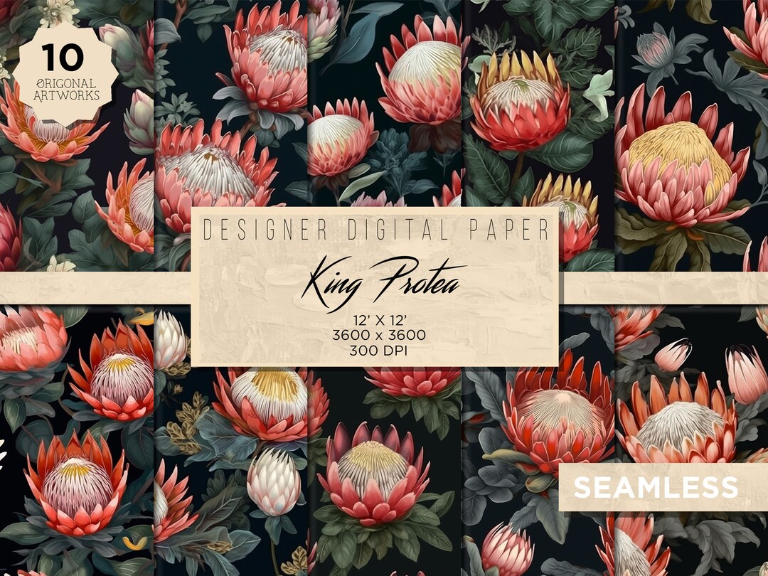 King Protea | 10 Seamless Patterns Digital Paper Illustrated Protea ...