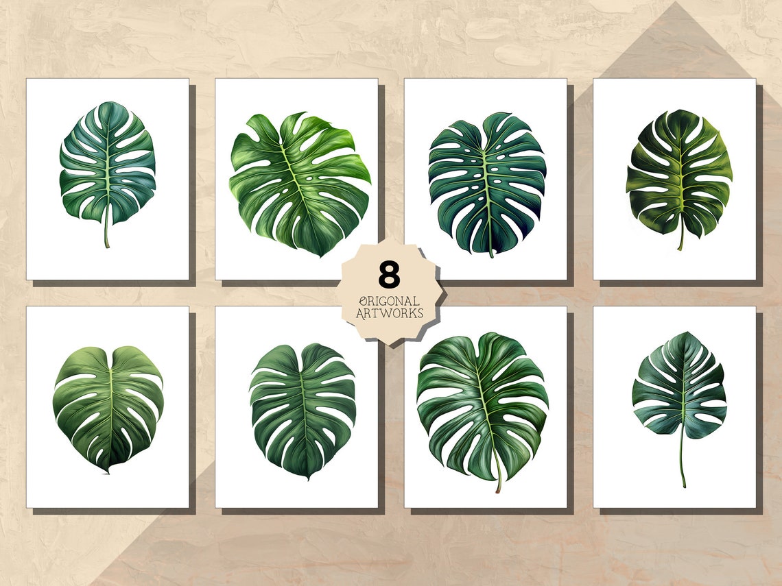 Monstera Leaf | 8 Illustrated Clip Art Jungle Transparent Background ...