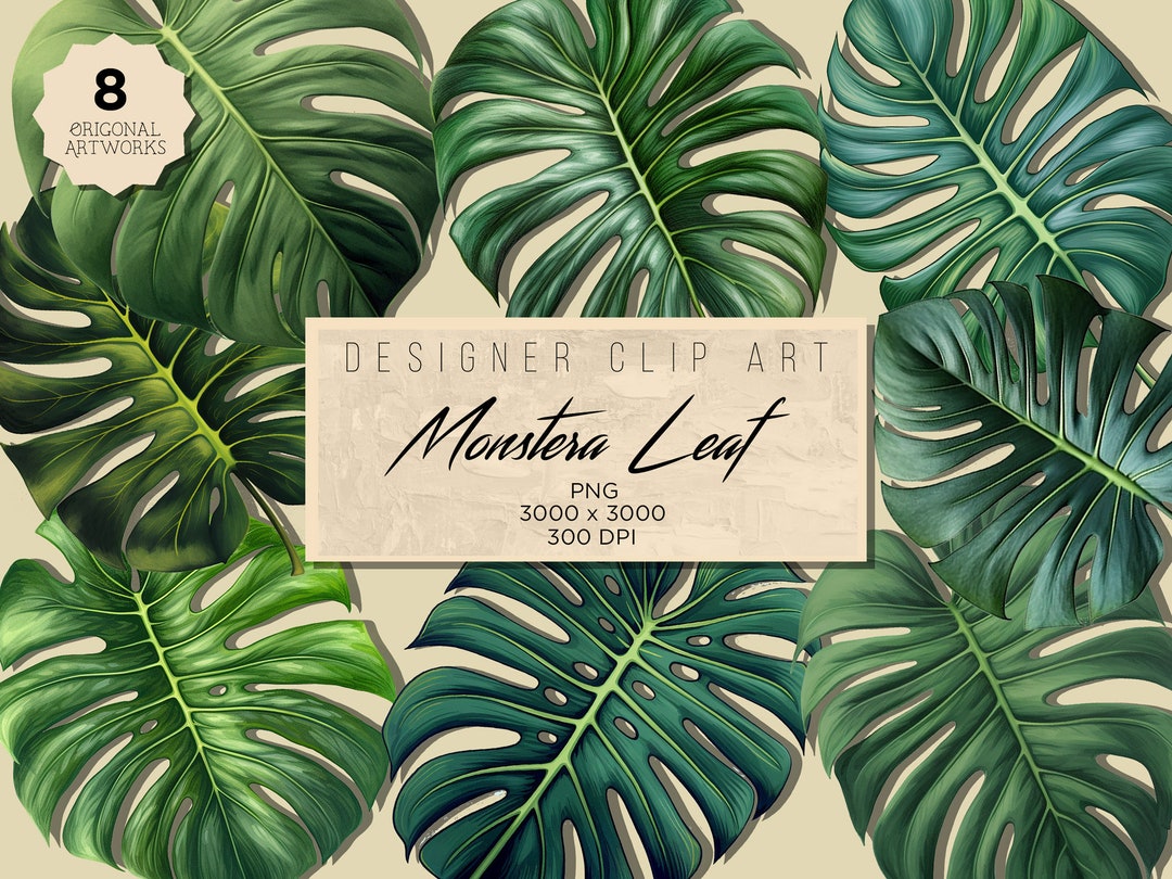 Monstera Leaf | 8 Illustrated Clip Art Jungle Transparent Background ...