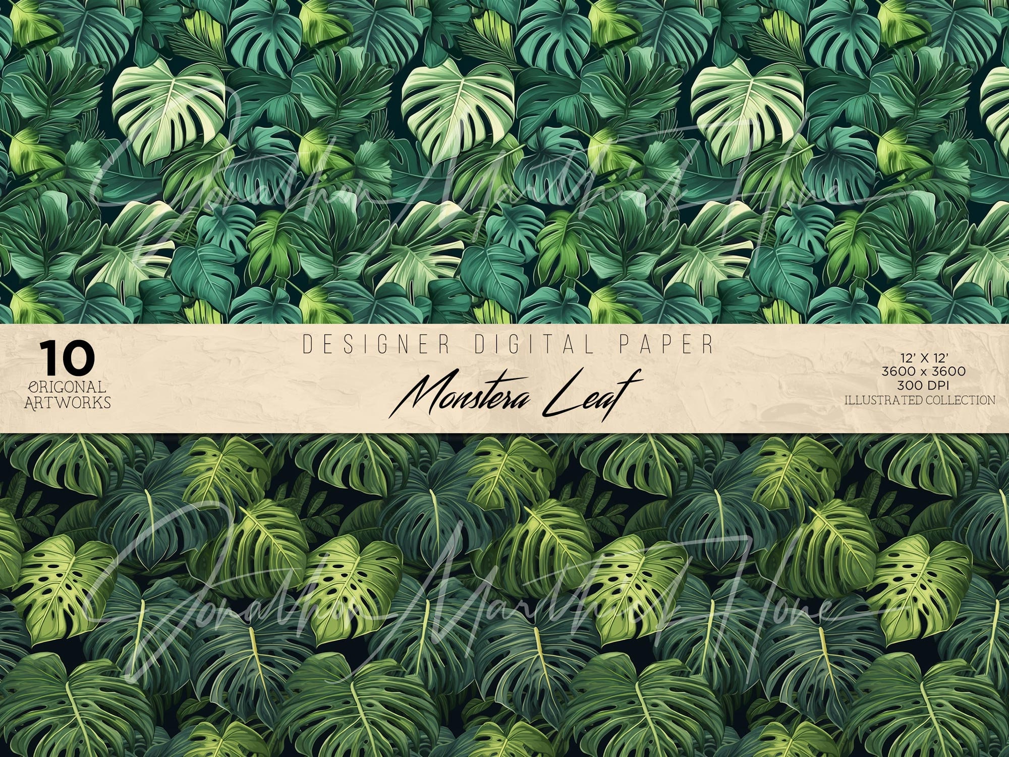 Monstera Leaf 10 Seamless Patterns Digital Paper Monstera Leaf Design ...