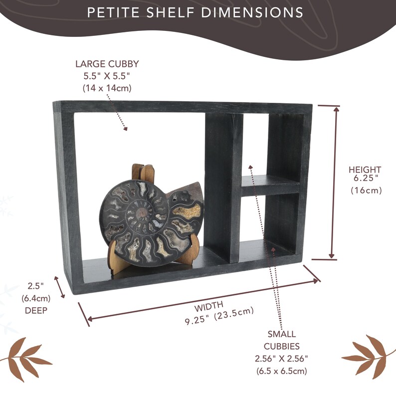 Display Shelf With Black Ammonite Fossil + Stand, Wall-mounted Floating ...