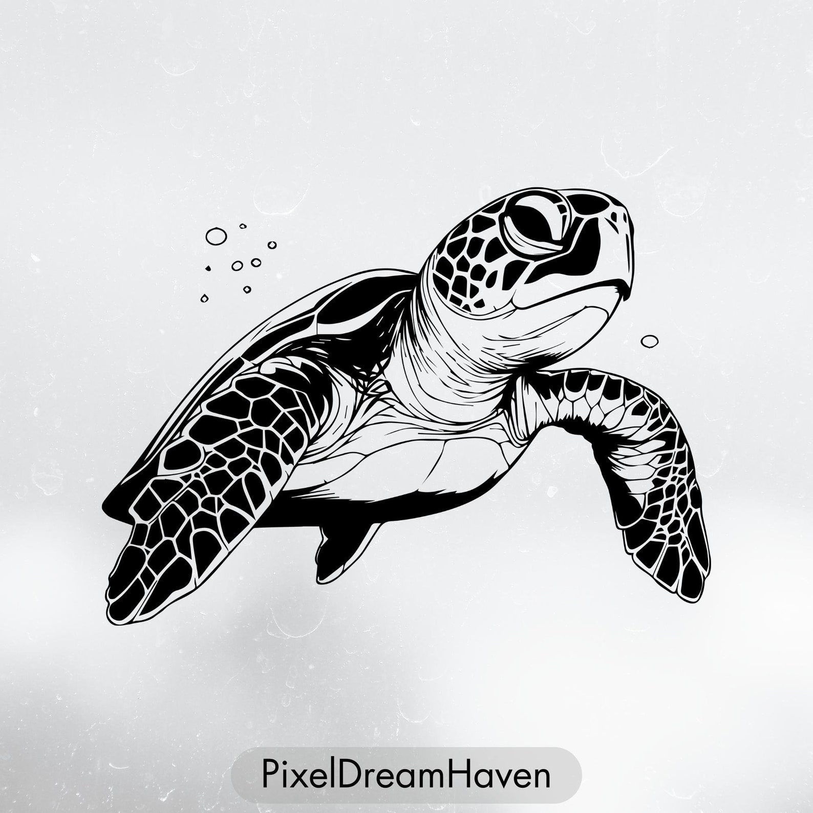 Turtle Svg, Turtle Png, Turtle Clip Art, Turtle Graphic, Turtle Vector ...