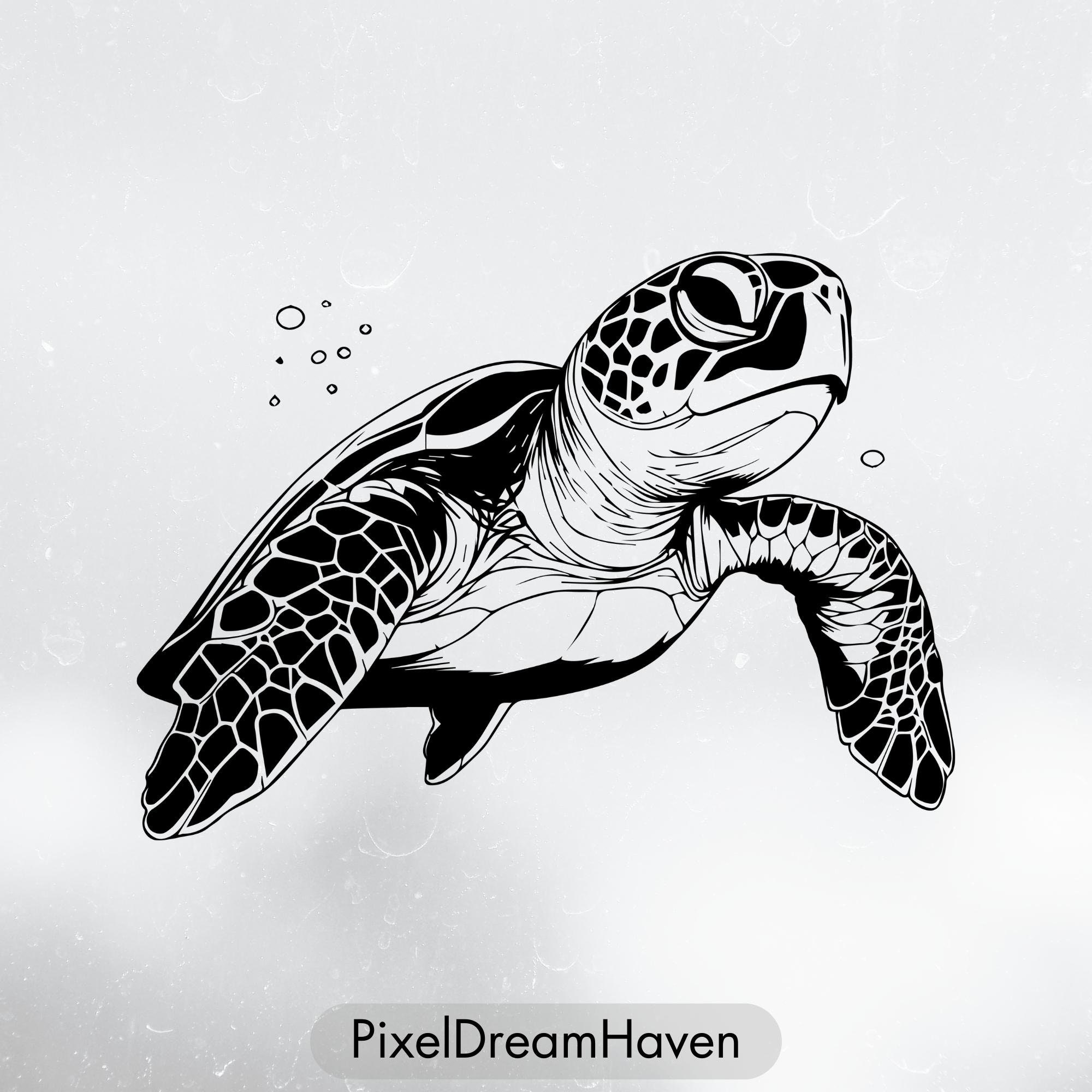 Turtle Svg, Turtle Png, Turtle Clip Art, Turtle Graphic, Turtle Vector ...