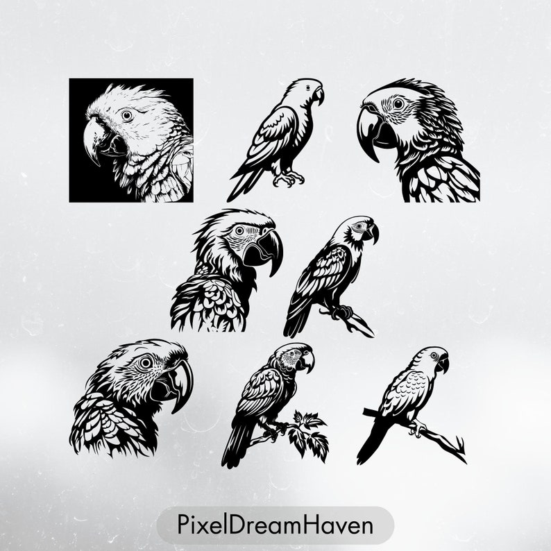 Parrot Svg, Parrot Png, Parrot Clip Art, Parrot Graphic, Parrot Vector ...