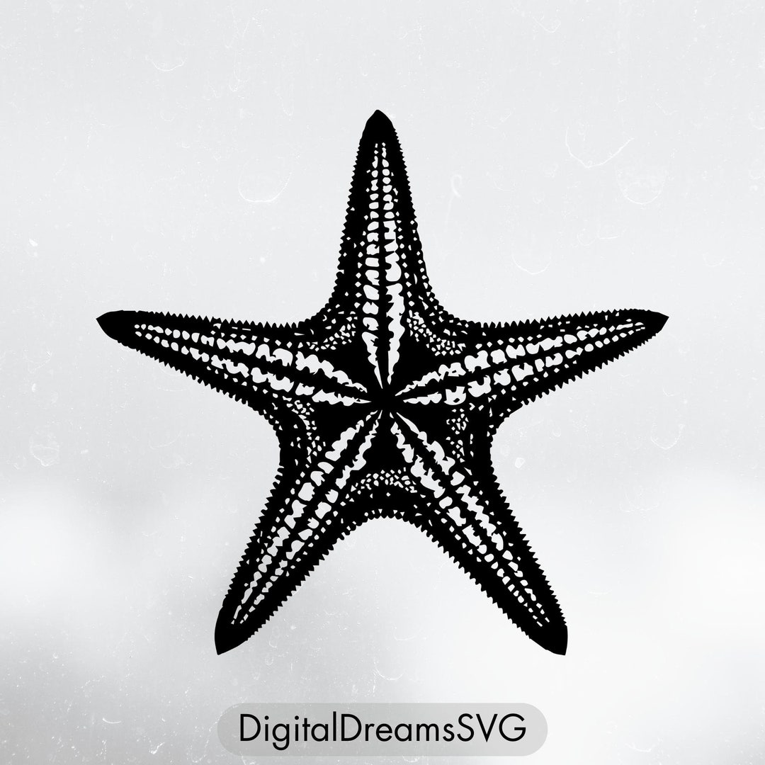 Starfish SVG, Star Fish PNG, Starfish Vector, Starfish Decal, Starfish ...