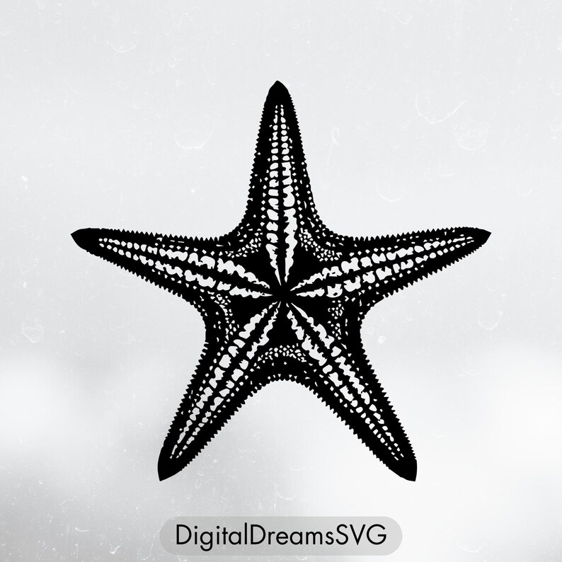 Starfish SVG, Star Fish PNG, Starfish Vector, Starfish Decal, Starfish ...