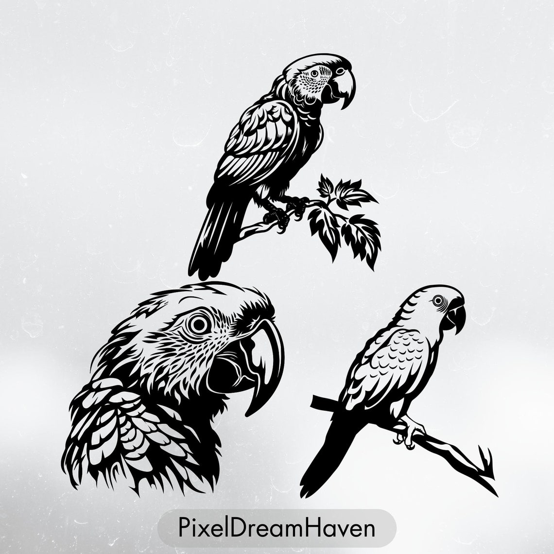 Parrot Svg, Parrot Png, Parrot Clip Art, Parrot Graphic, Parrot Vector ...