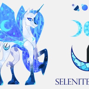 Custom My Little Pony Reference Sheet - Etsy