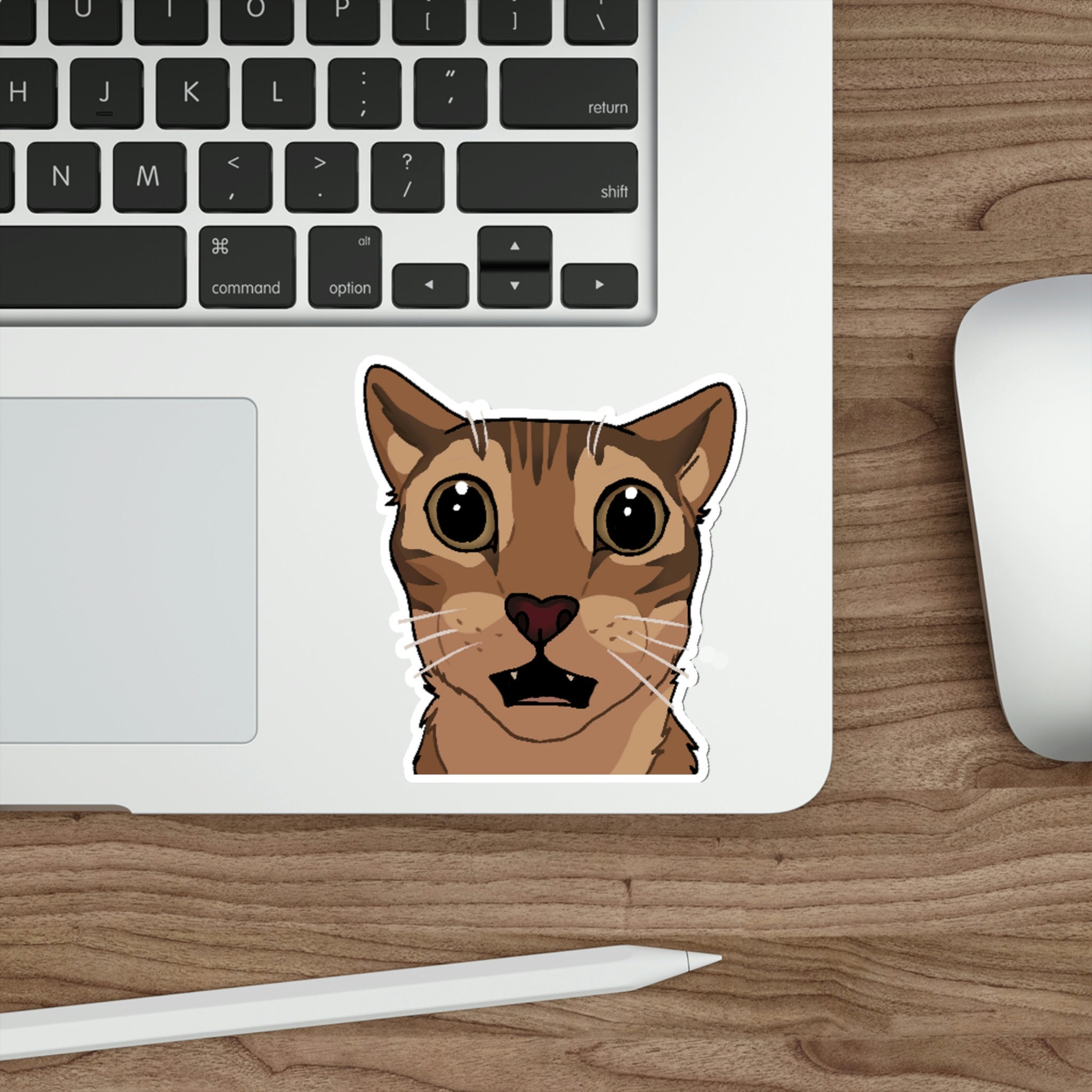 Surprised Computer Meme