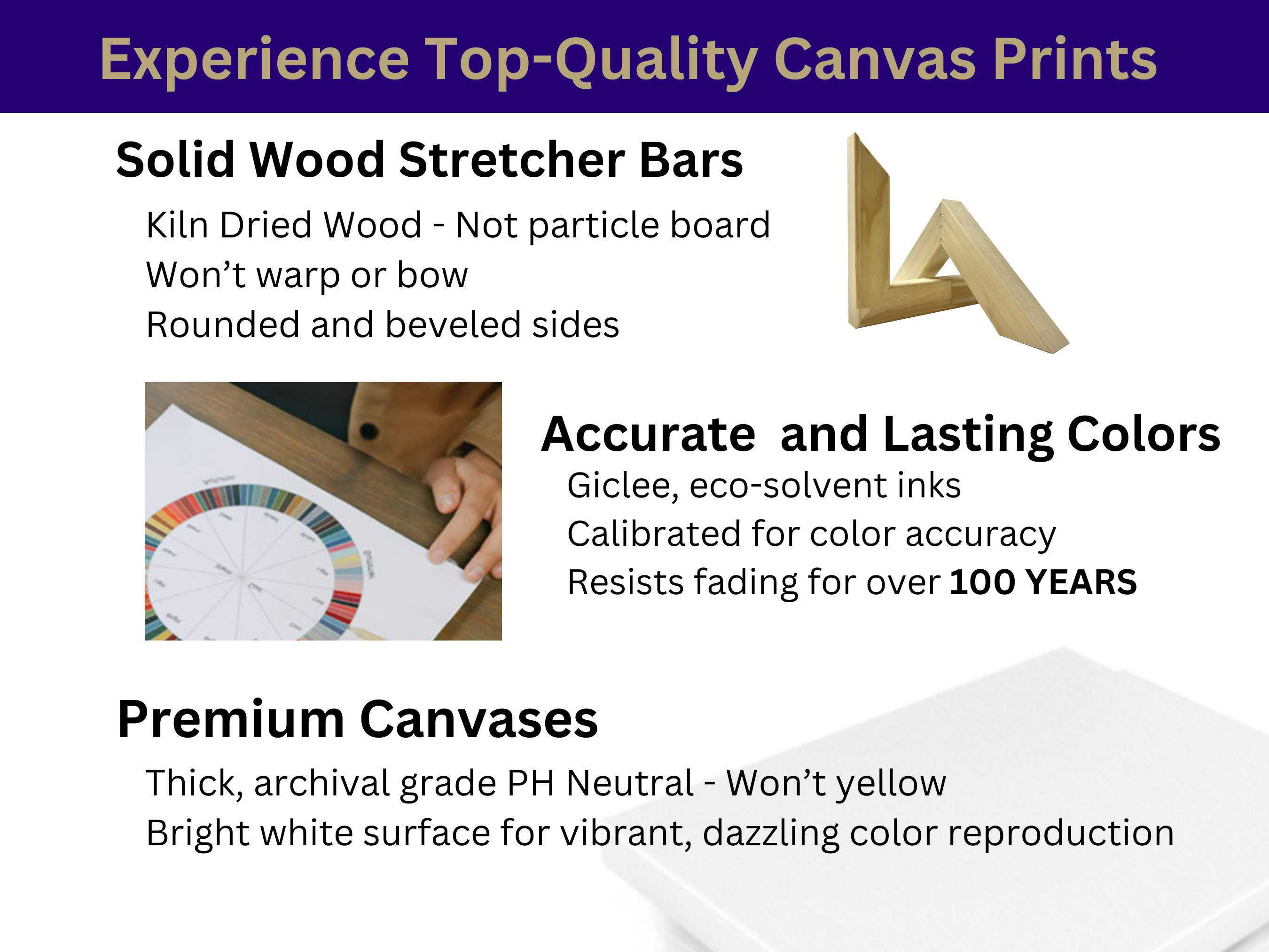 Whispers of Nature's Muse Canvas Print Floral and Butterfly Portrait ...