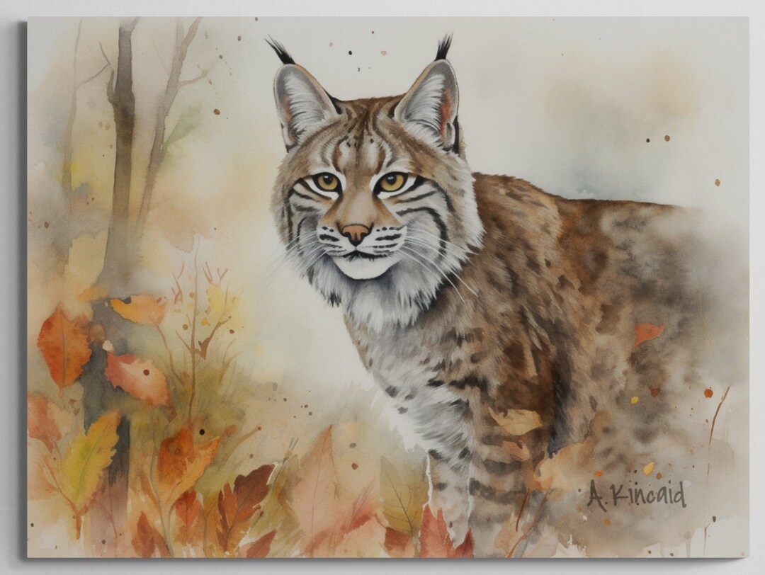 Bobcat | Canvas Print | Wildlife Art | Cabin Art | Forest Art | Archer ...