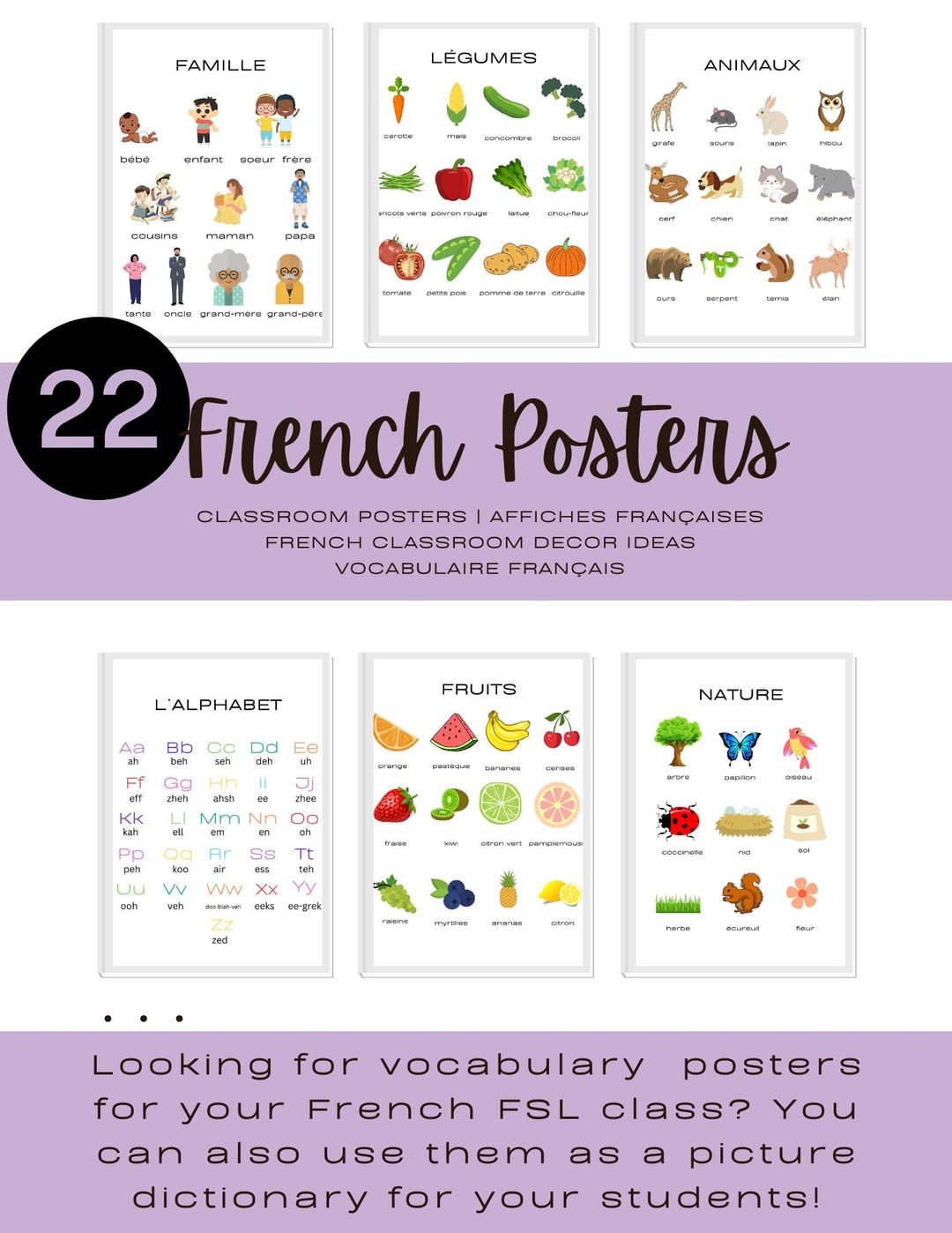 French Vocabulary Posters - Affiches En Français for FSL Classrooms ...