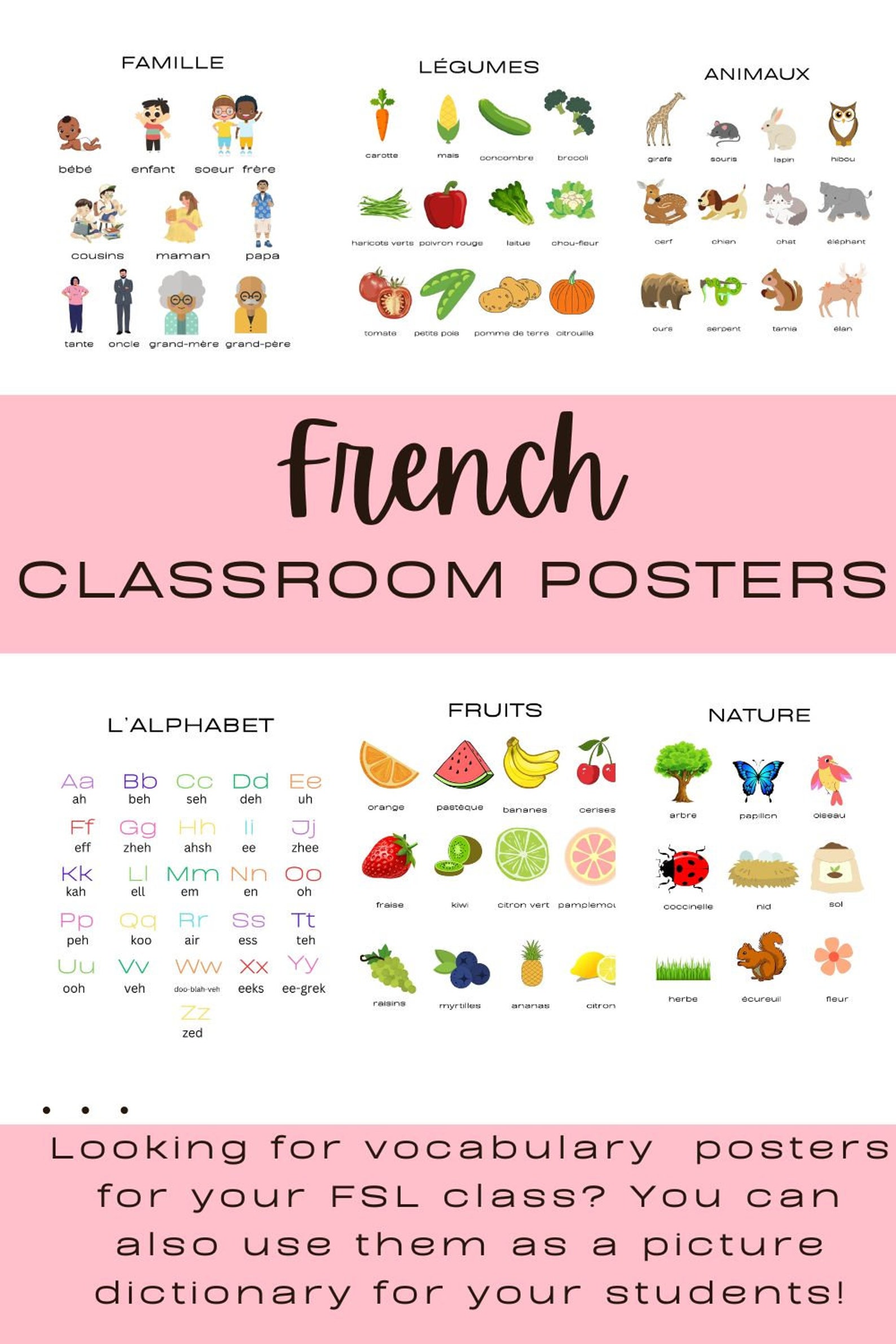 Affiches Pour La Classe French Classroom Poster BUNDLE French Classroom ...