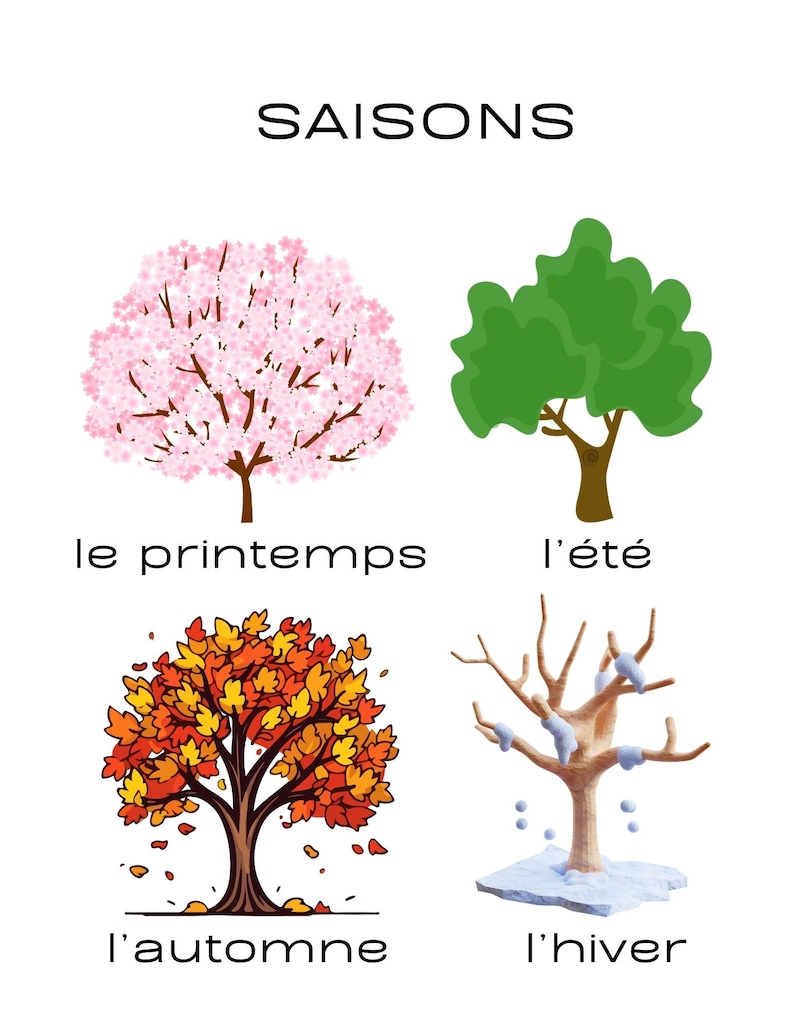 French Classroom Decor Vocabulary Posters OR French FSL Picture ...