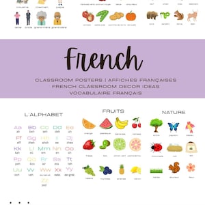 French Classroom Decor Vocabulary Posters OR French FSL Picture ...