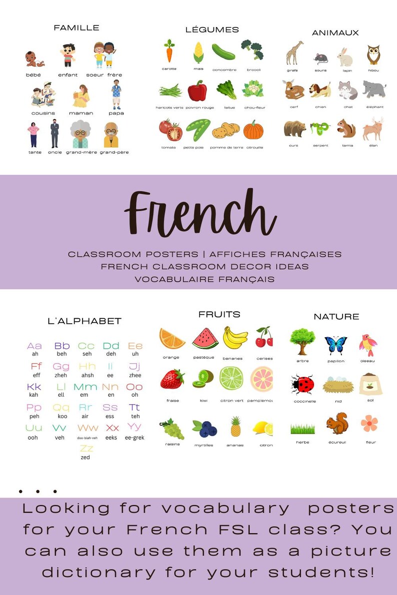 French Classroom Decor Vocabulary Posters OR French FSL Picture ...