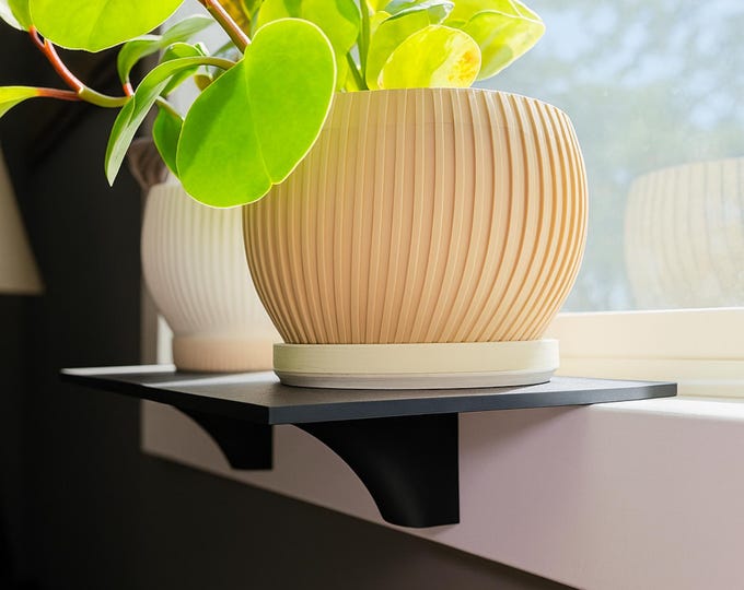 Window Perch | Flower Shelf | Window Sill Shelf | No Tools Installation ...