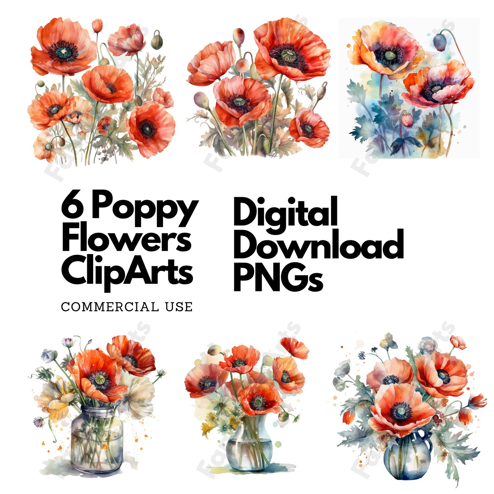 Poppy Flower Clipart, Flower Clipart, Ready to Use, Transparent ...