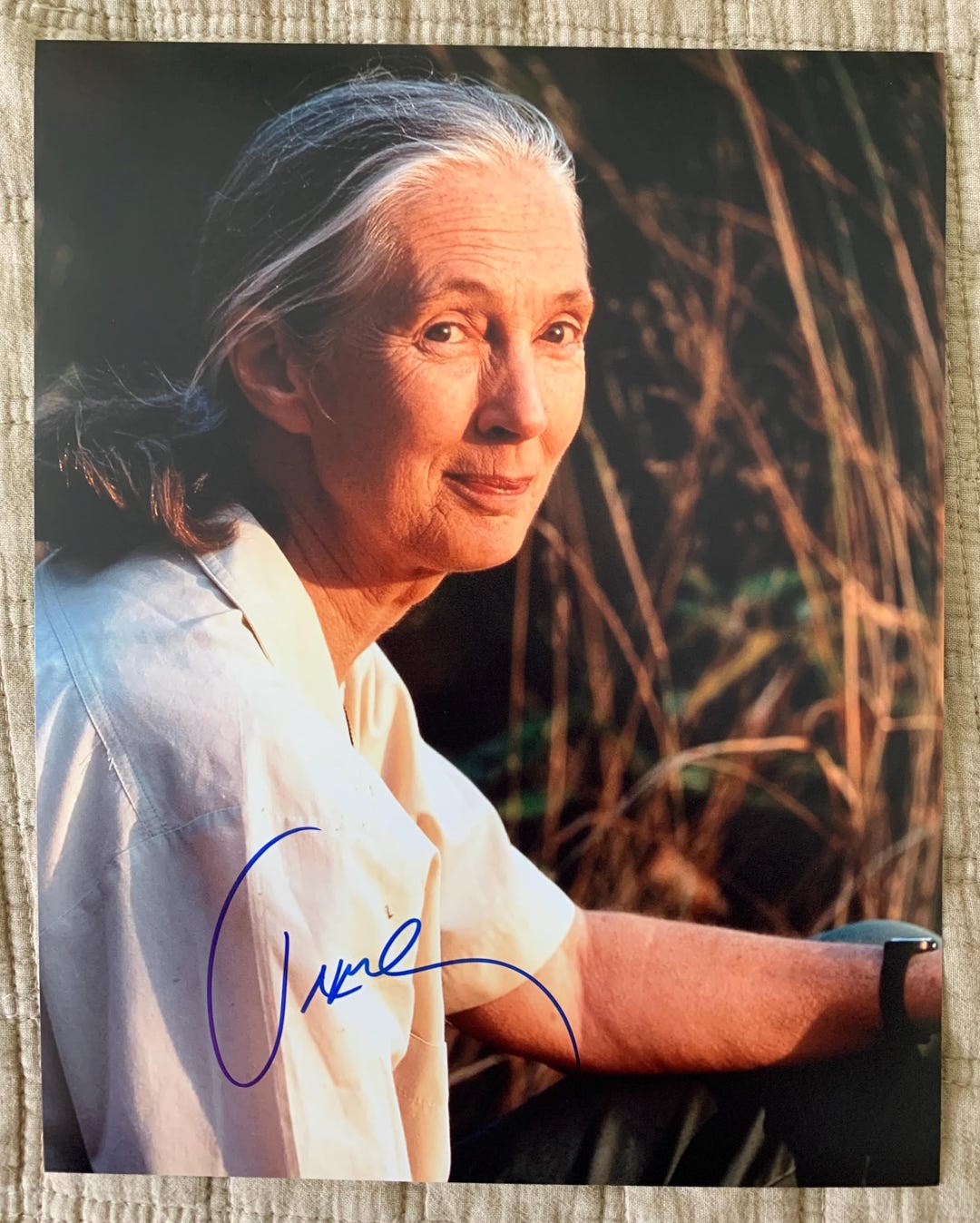 Jane Goodall Hand Signed 8x10 Photo With COA - Etsy