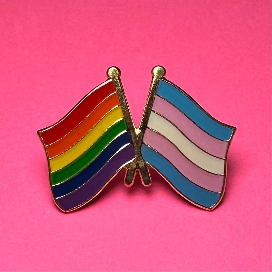 Transgender & Traditional Pride Flag LGBTQIA Inclusive Pin - Etsy