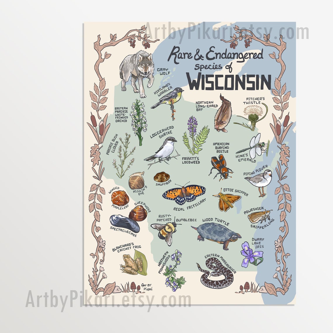 Wisconsin Rare & Endangered Species Poster Animals of Wisconsin ...