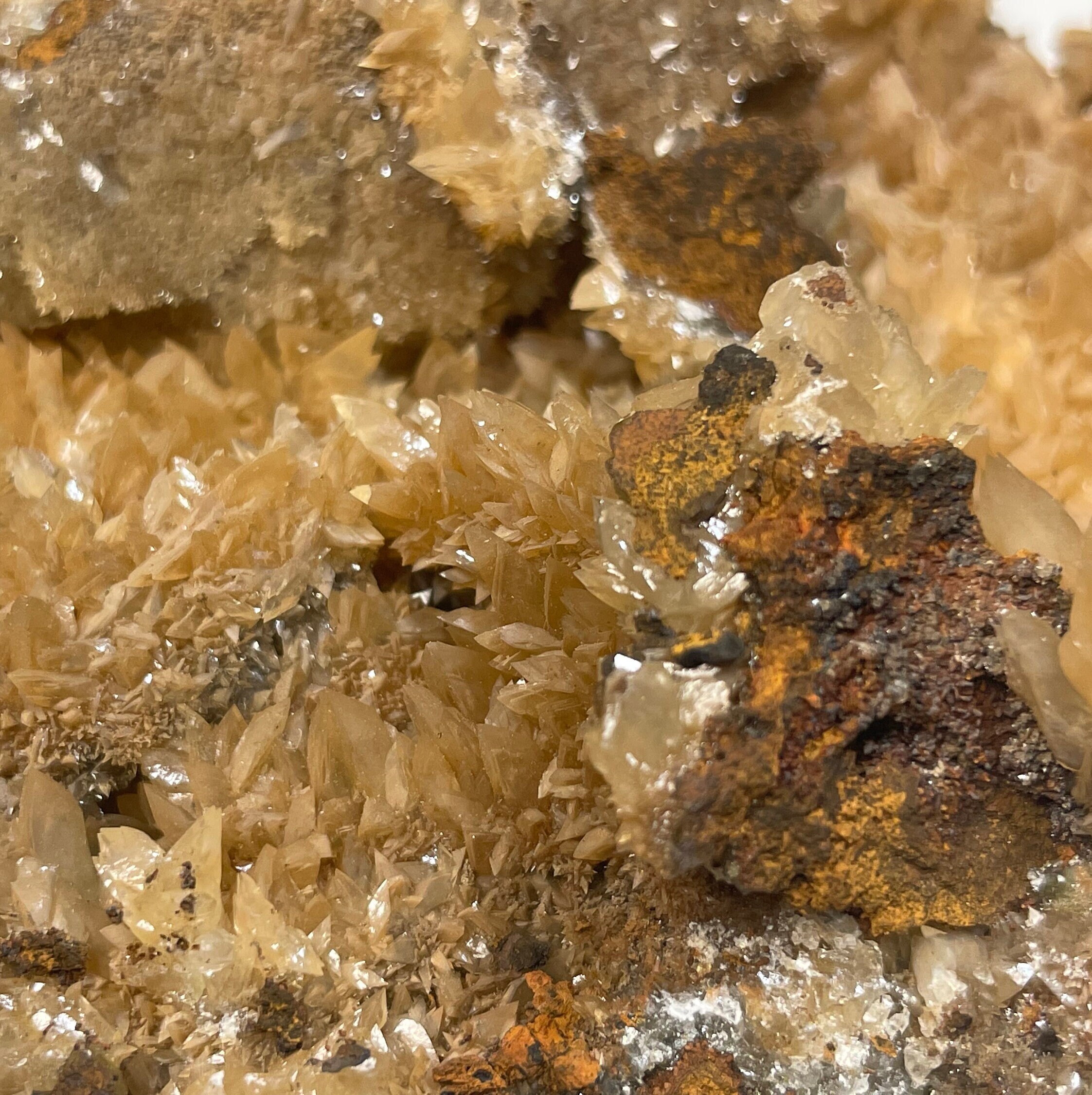 Starry Night Adamite on Limonite Matrix Specimen Uncommon Mineral With ...