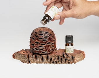 Oil Diffuser Banksia Pod - Etsy