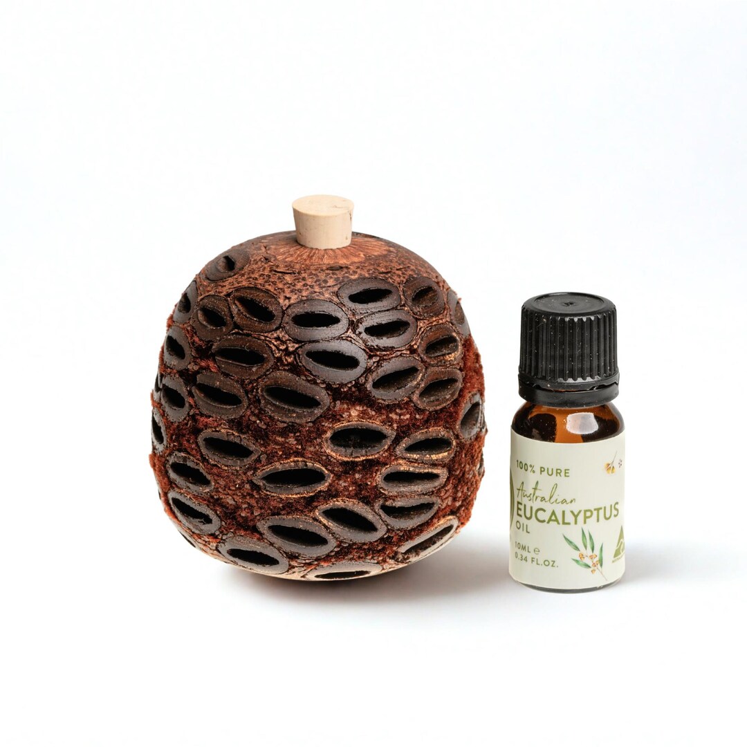 Banksia Aroma Diffuser: Australian Native Pod, Natural Home Scent - Etsy