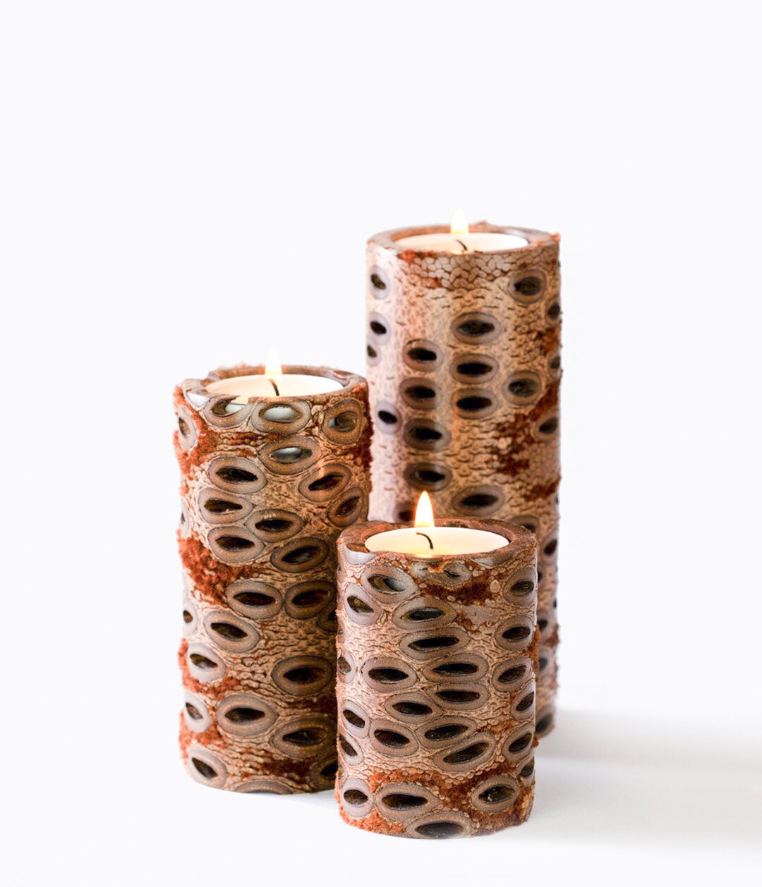 Authentic Australian Banksia Nut 3 Set Pillar Tea Light Candle ...