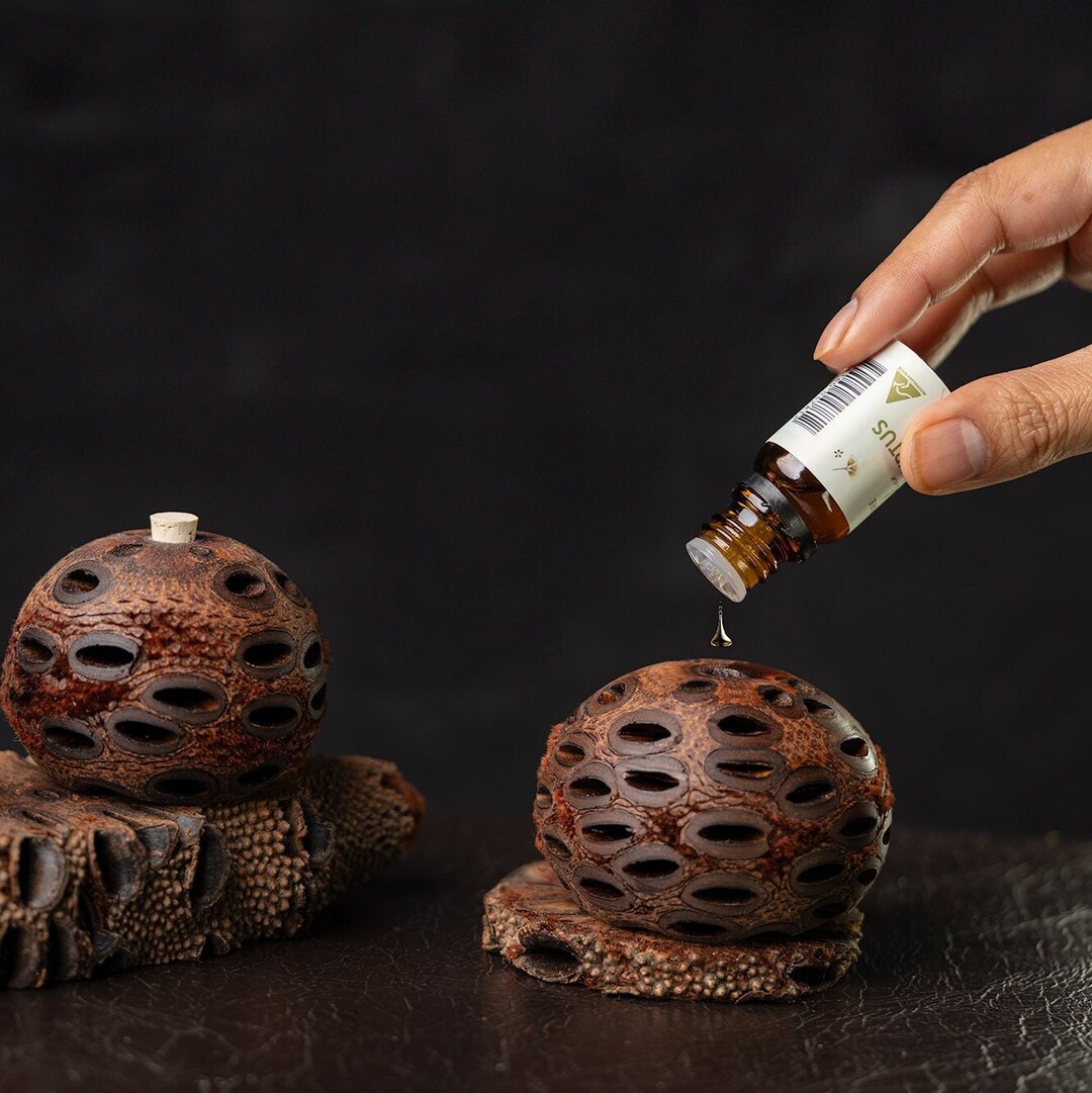 Banksia Aroma Pod Diffuser: Natural Essential Oil Diffuser, Australia ...