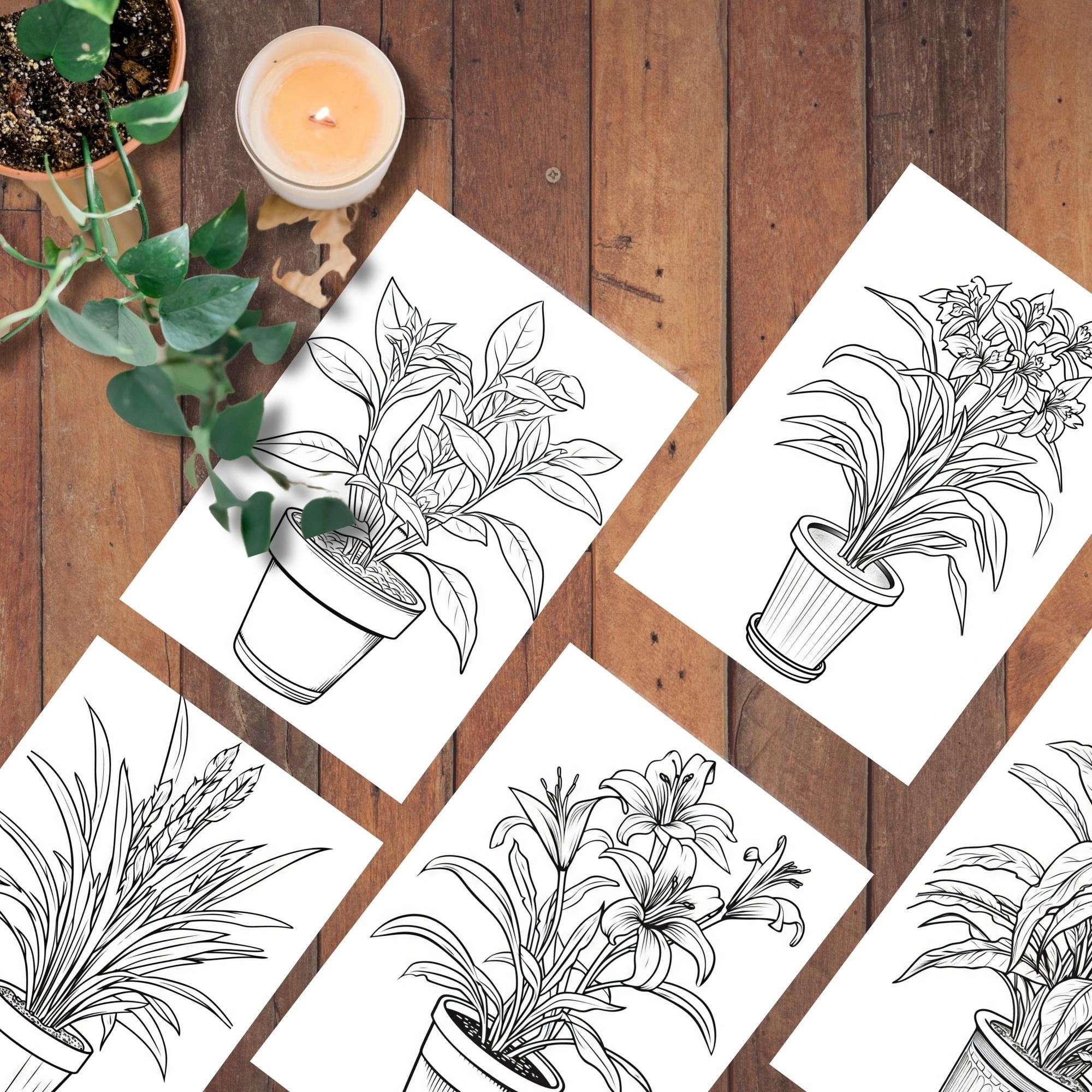 24-page Printable Plants Coloring Book for Adults, Indoor Plants ...