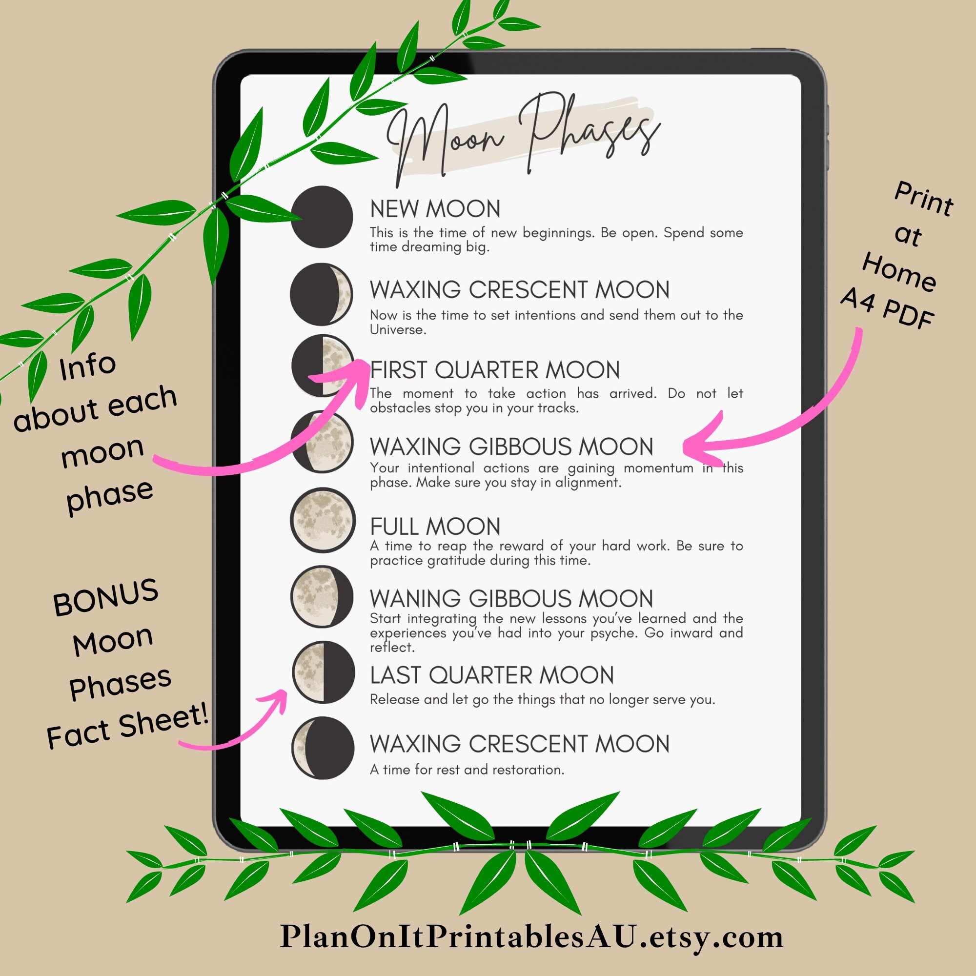 Moon Phase Tracker, Moon Phase Calendar, Lunar Cycle, Lunar Tracker ...