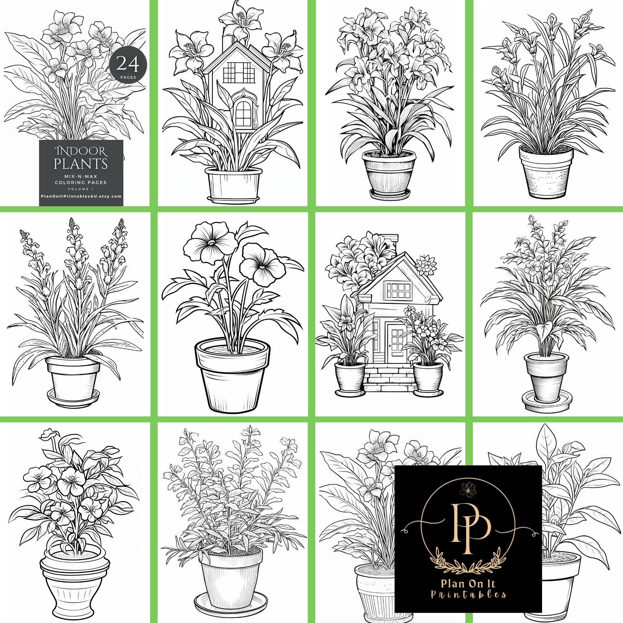 24-page Printable Plants Coloring Book for Adults, Indoor Plants ...