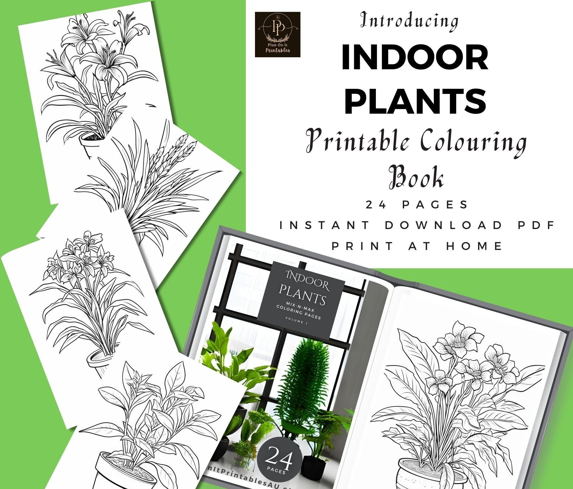 24-page Printable Plants Coloring Book for Adults, Indoor Plants ...