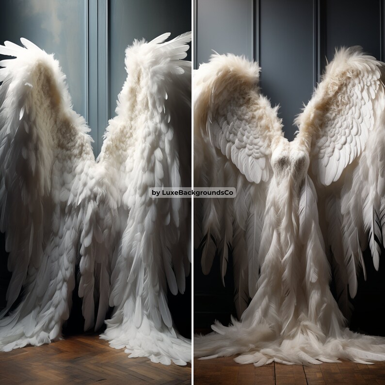 30 Elegant Angel Wing Backdrop, Maternity Backdrop, Heavenly Backdrop ...